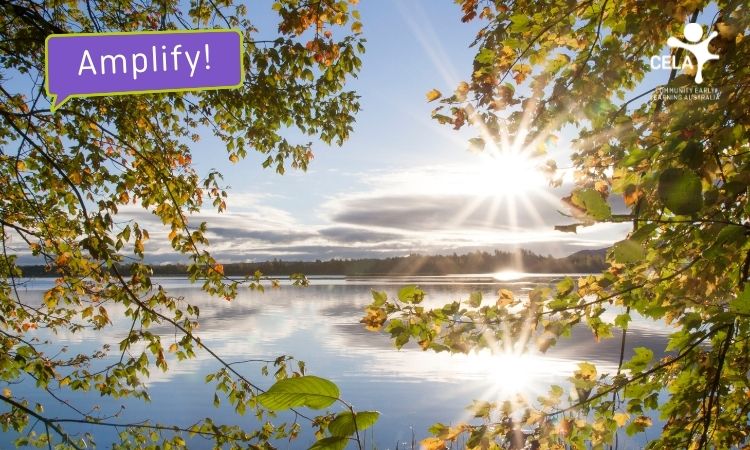 Understanding and responding to trauma - CELA