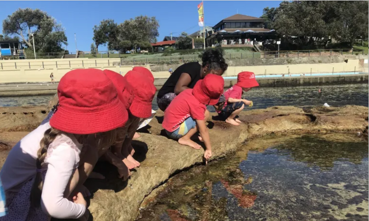 Why beach kindy is the new bush kindy - CELA