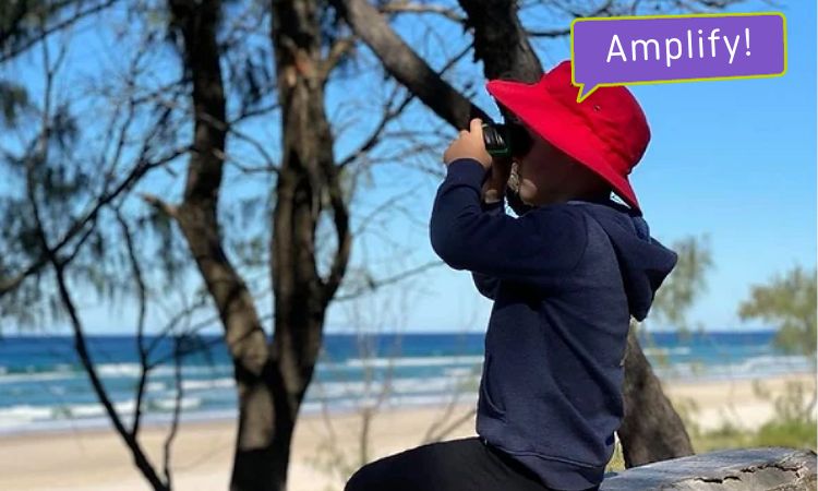 The Role Of Outdoor Environments And Documentation In Enriching Play Based Learning Cela
